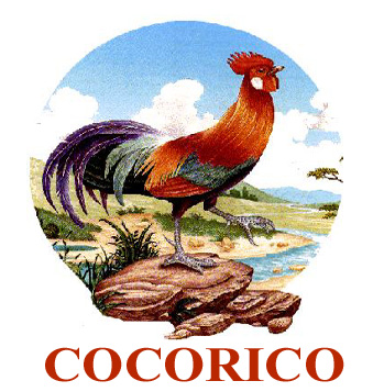 El gallo con pluma: KokoRico. El «coup de plumes» de Jean-Paul Gaultier ...